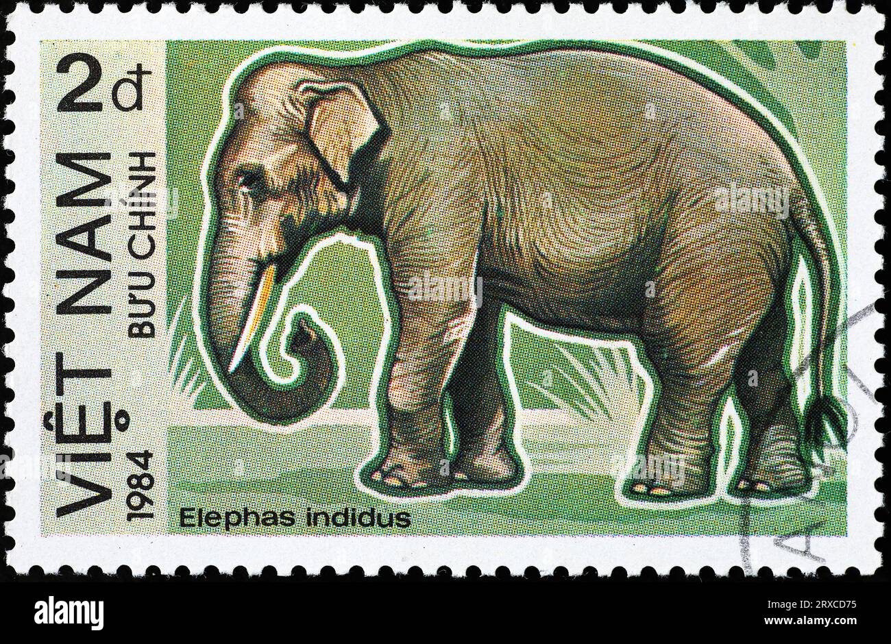 Asian elephant on Vietnamese stamp Stock Photo - Alamy