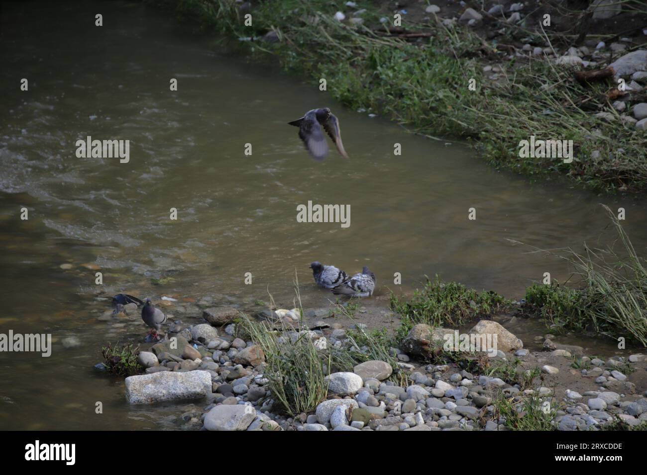 Rocco architecture hi-res stock photography and images - Alamy