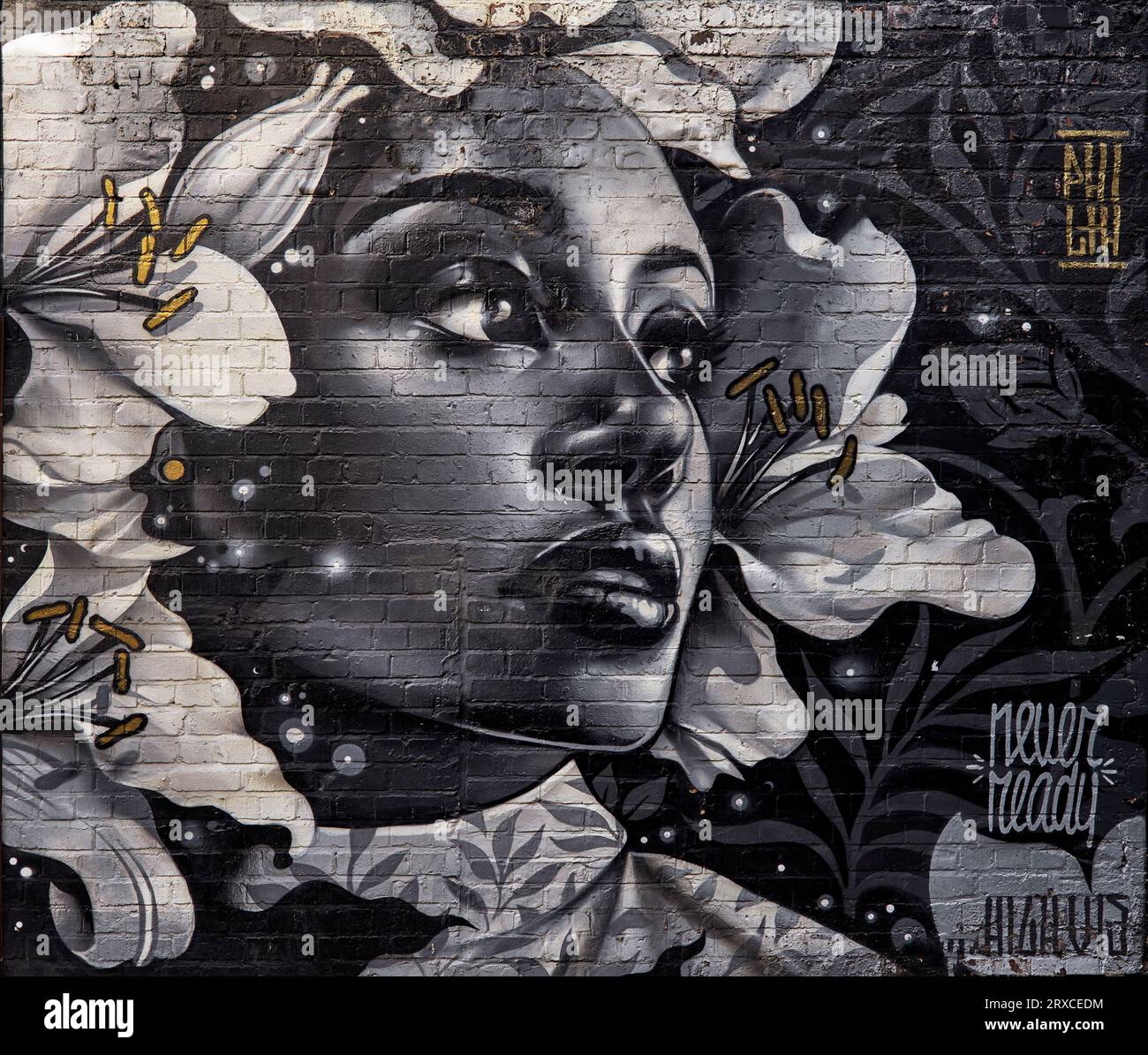 Digbeth, Graffiti, Birmingham, England, UK Stock Photo - Alamy