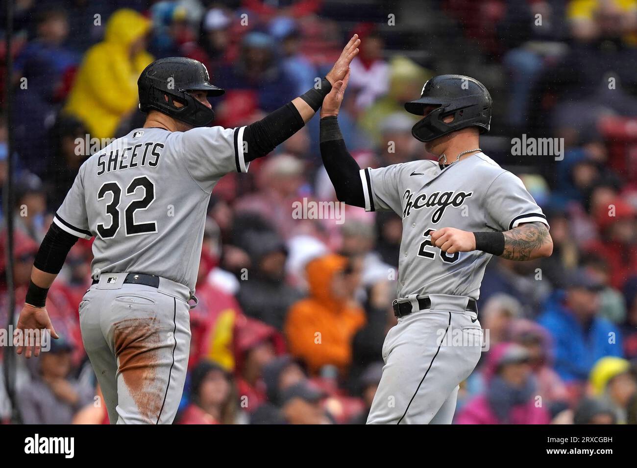 Chicago White Sox's Gavin Sheets (32) and Korey Lee celebrate after ...