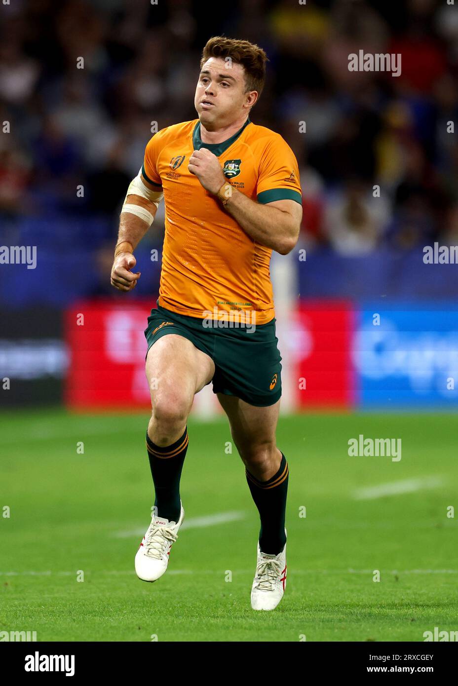 Kellaway hi-res stock photography and images - Alamy