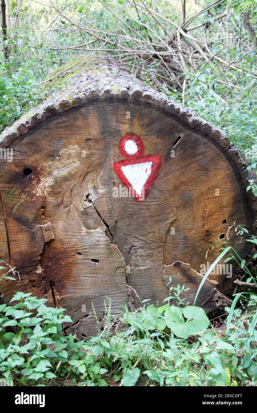 Hiking is safe and easy with trail signs Stock Photo - Alamy