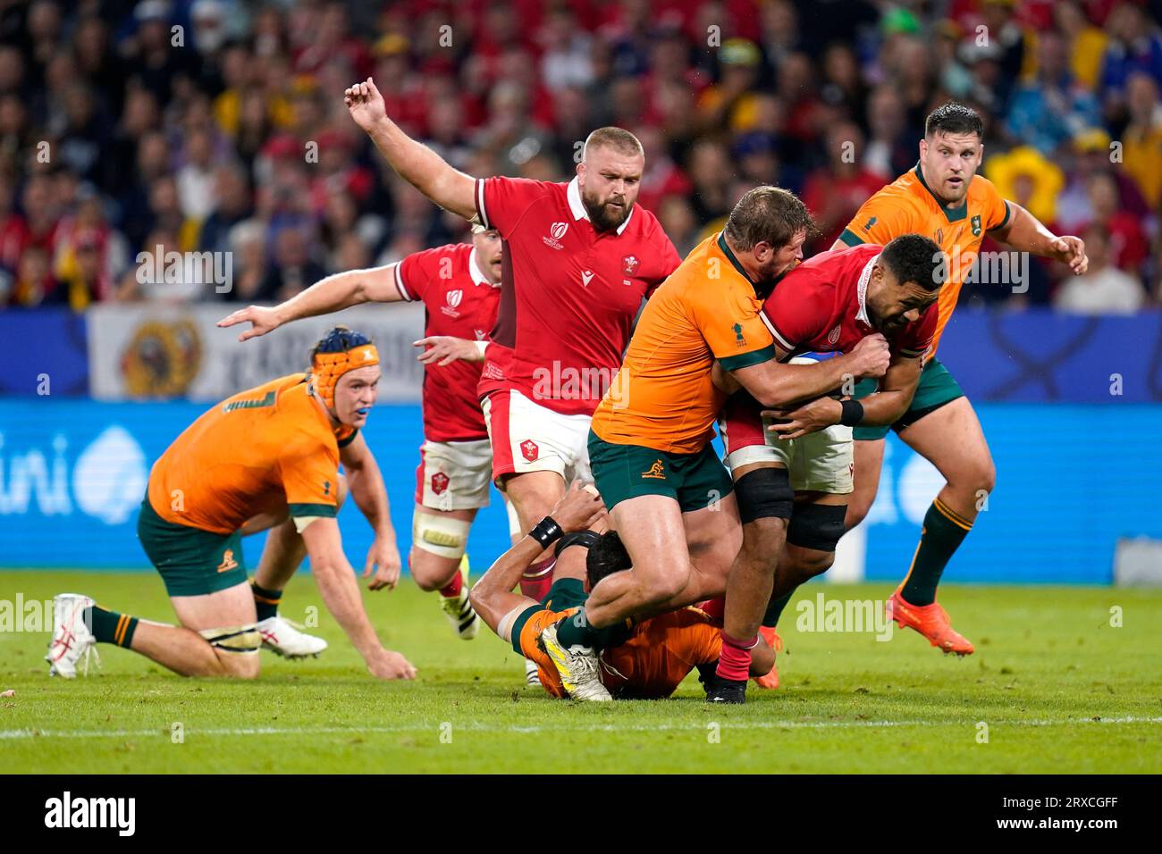 James slipper rugby world cup hi-res stock photography and images - Alamy