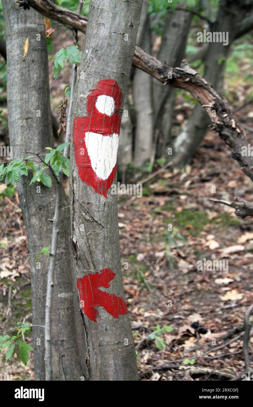 Hiking is safe and easy with trail signs Stock Photo - Alamy