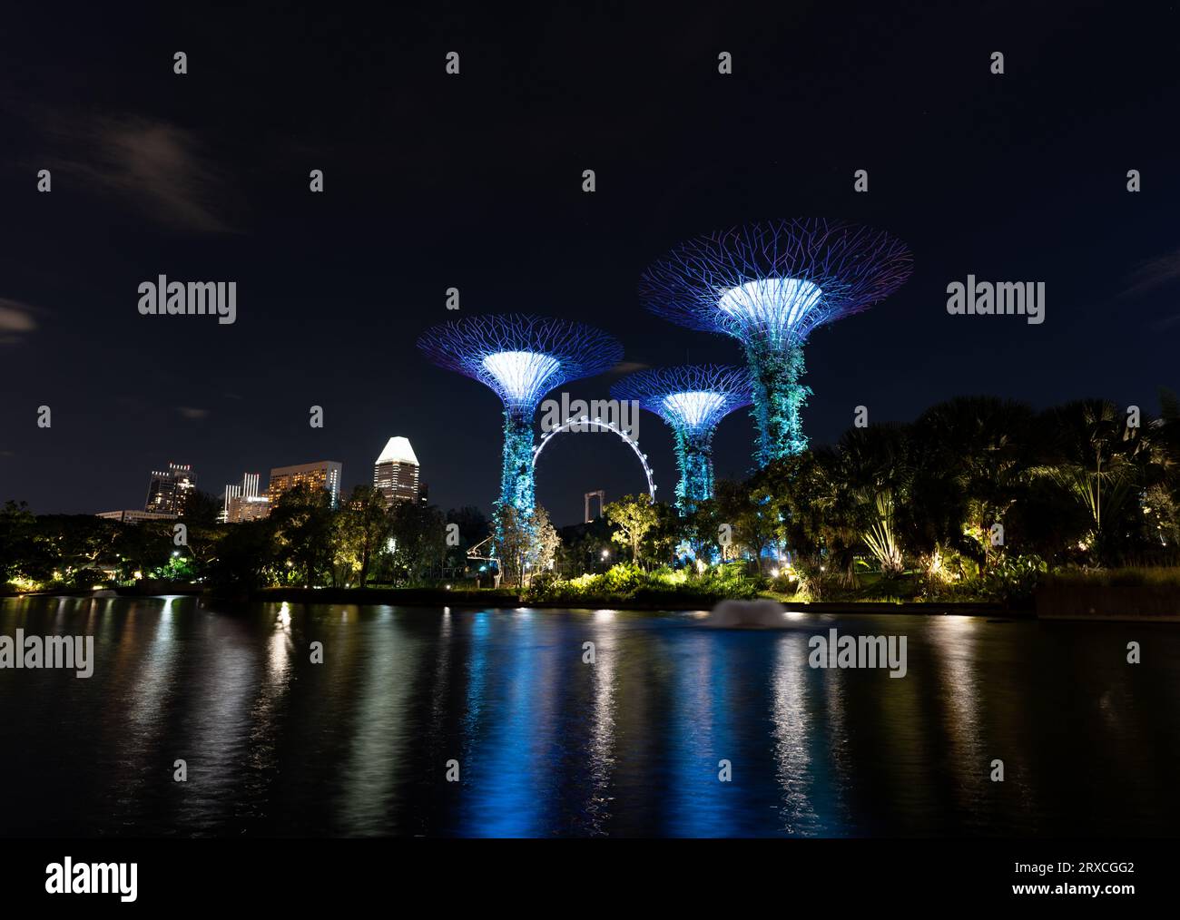 Gardens by the bay supertrees during garden rhapsody light show at ...