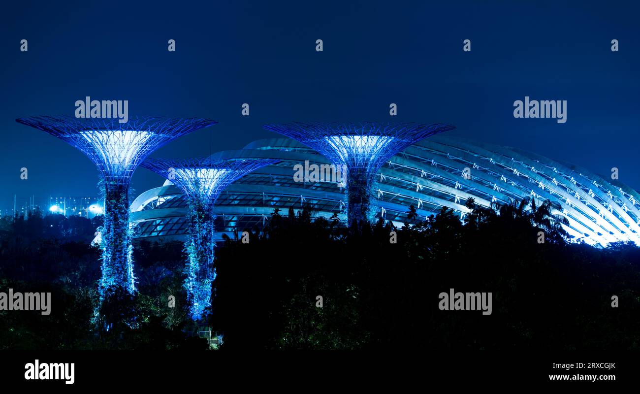 Gardens by the bay supertrees during garden rhapsody light show at ...