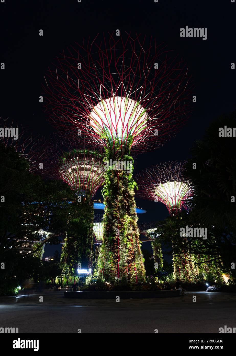 Gardens by the bay supertrees during garden rhapsody light show at ...