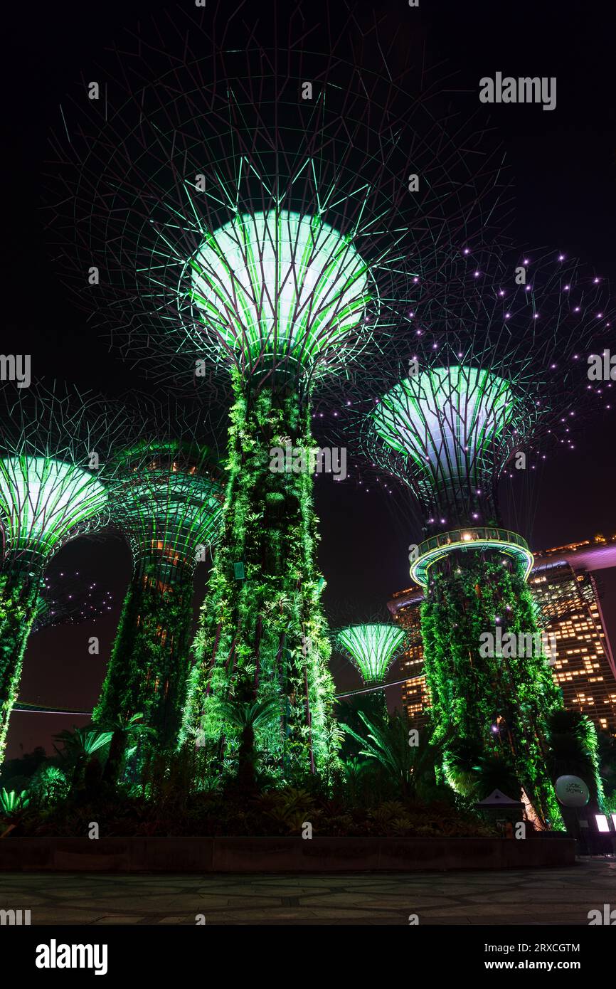 Gardens by the bay supertrees during garden rhapsody light show at ...