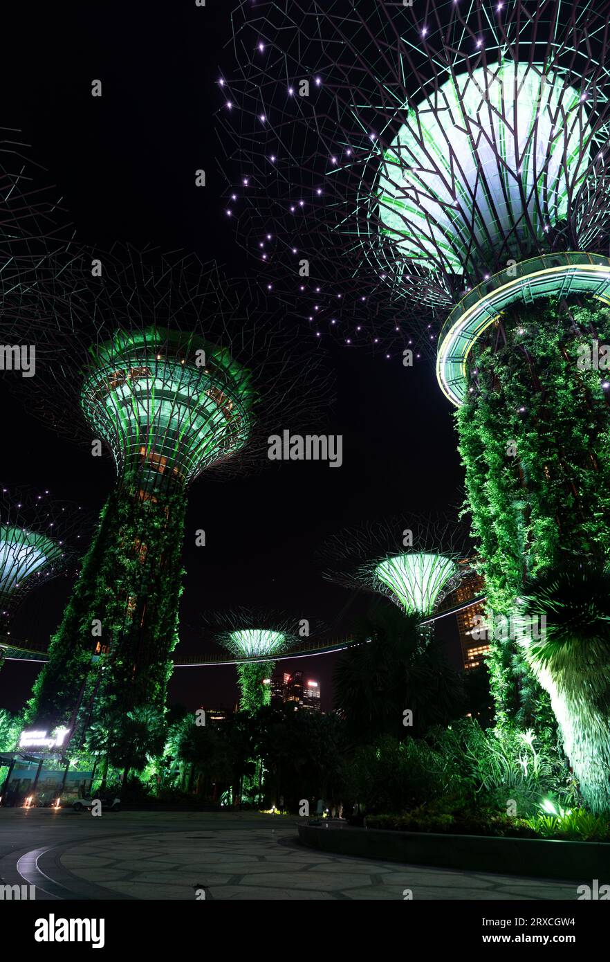 Gardens by the bay supertrees during garden rhapsody light show at ...
