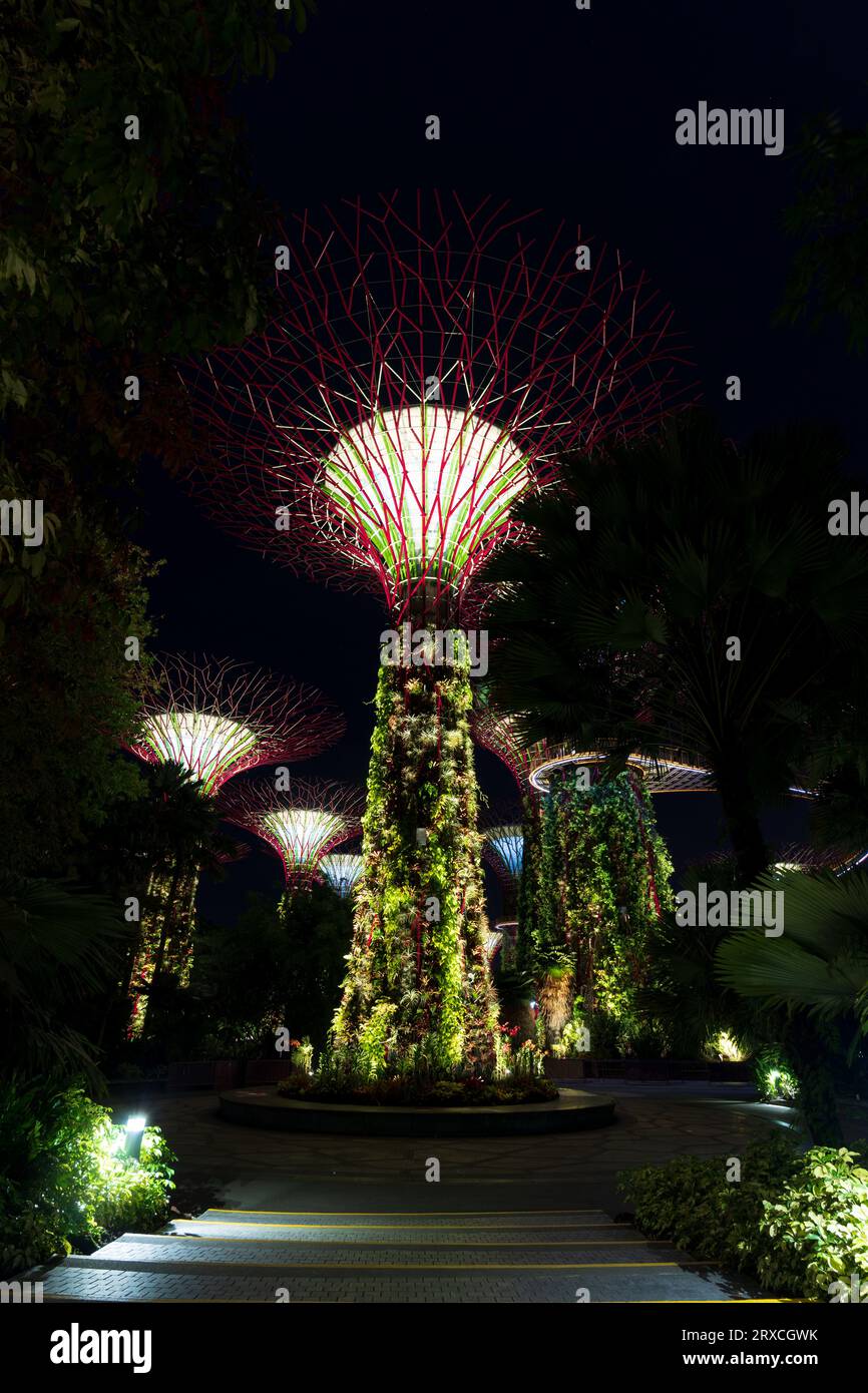 Gardens by the bay supertrees during garden rhapsody light show at ...
