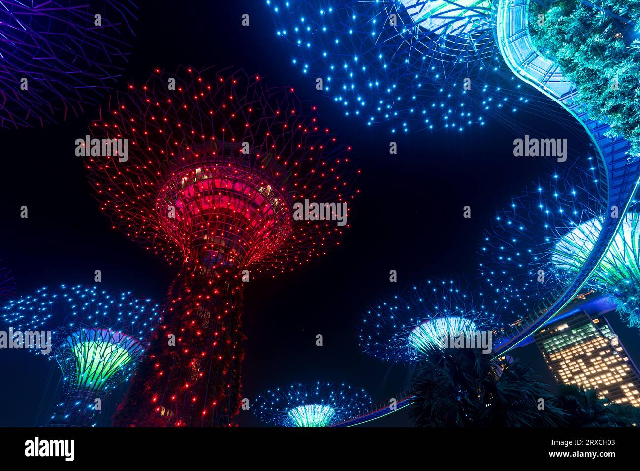 Gardens by the bay supertrees during garden rhapsody light show at ...