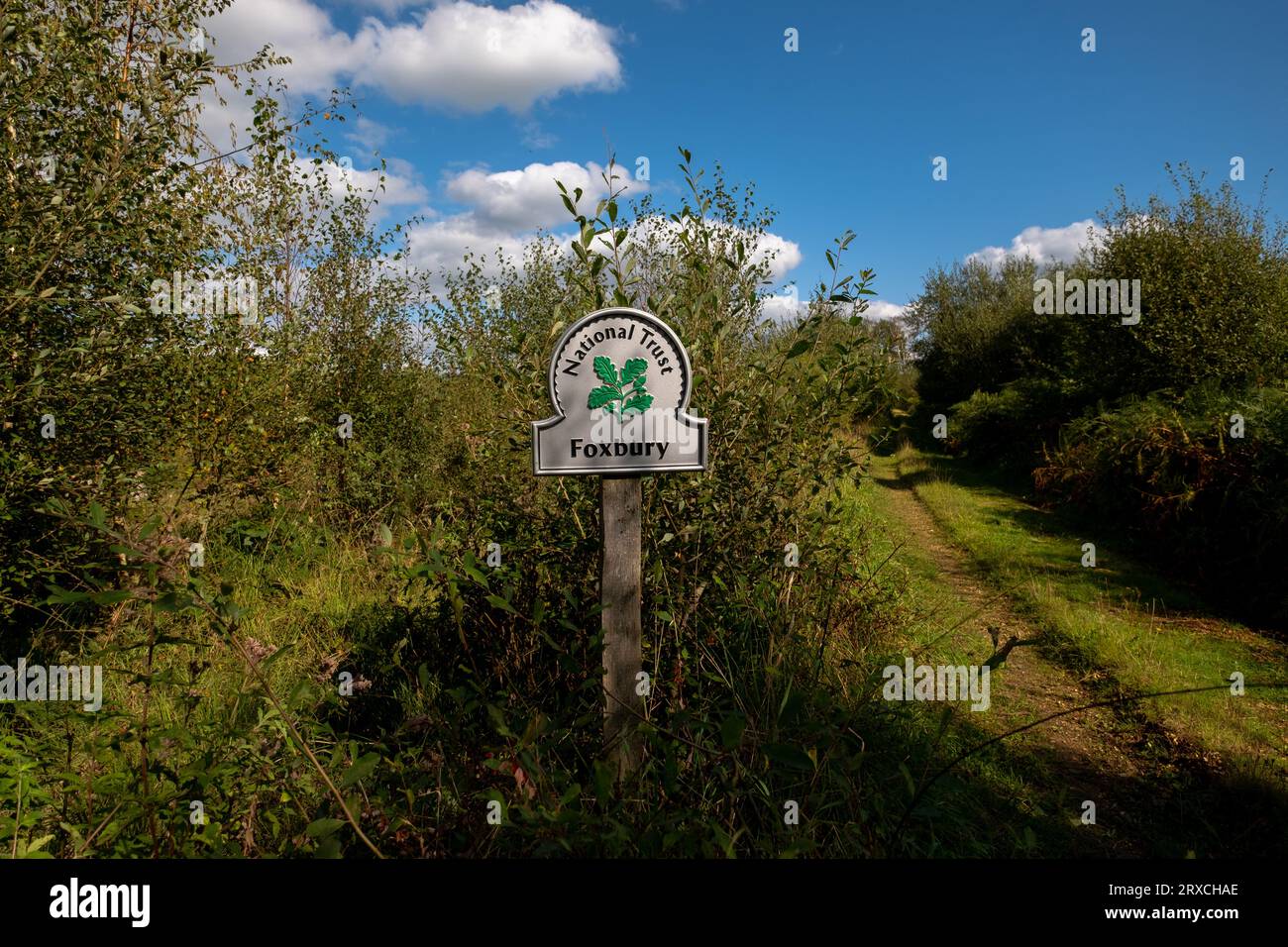 Footpath that leads through Foxbury National Trust area in The New ...