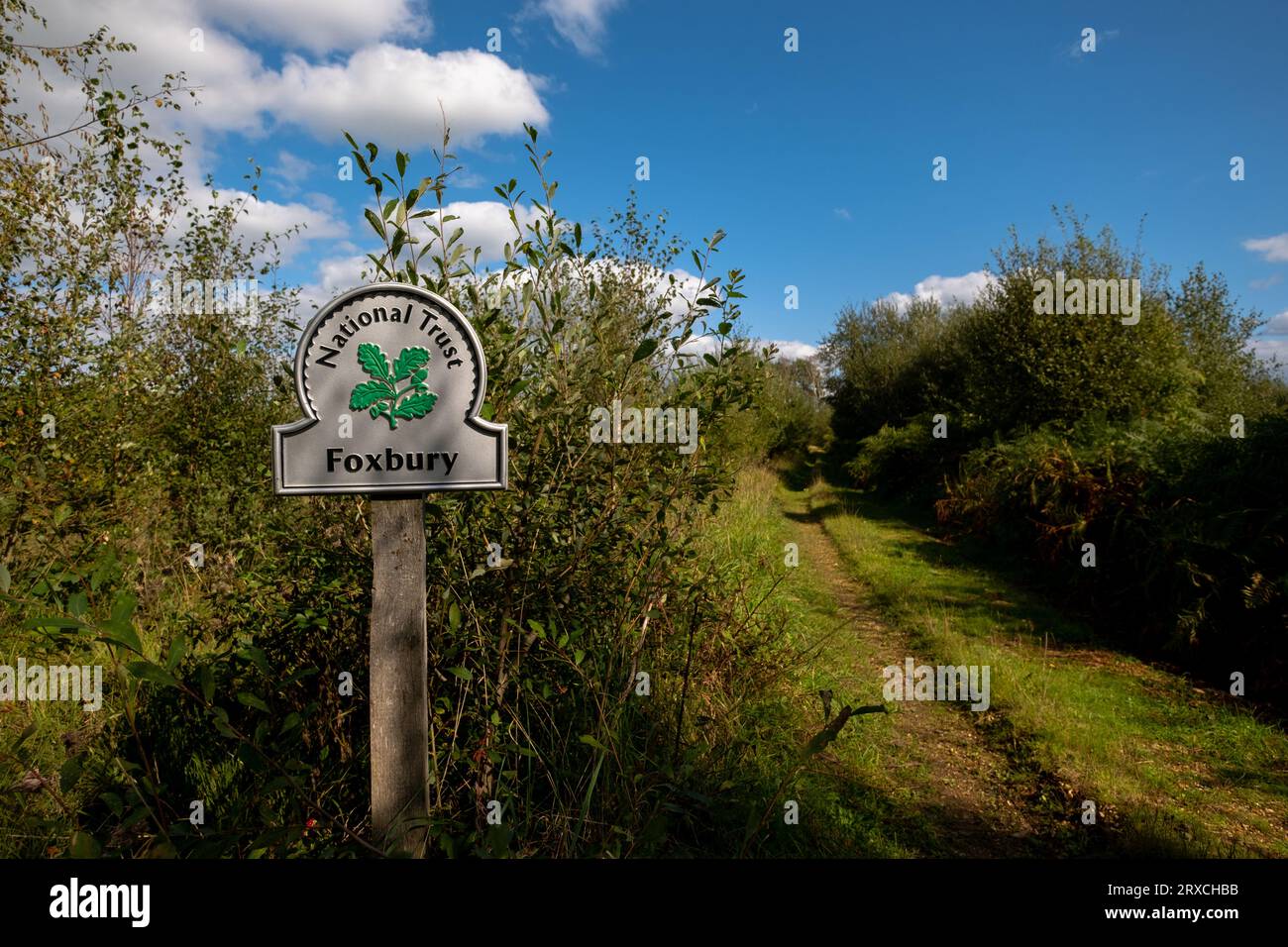 Footpath that leads through Foxbury National Trust area in The New ...