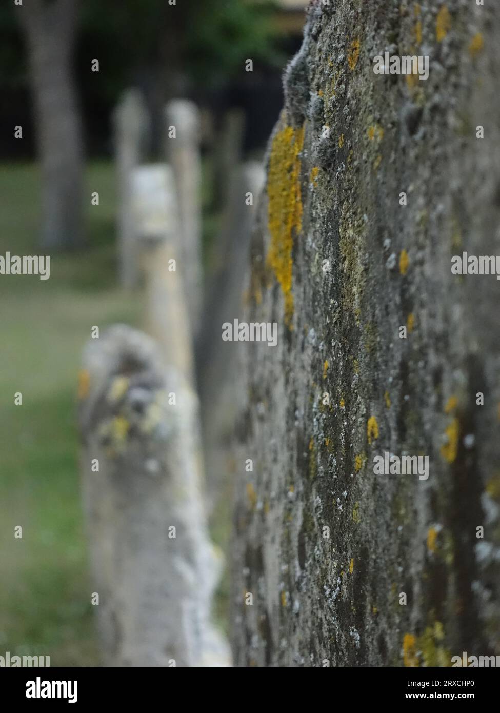 Gravestone texture hi-res stock photography and images - Alamy