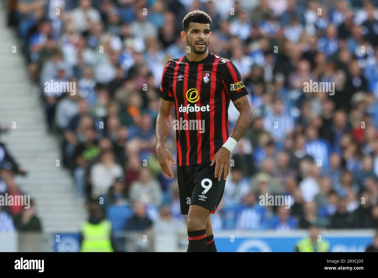 Dominic solanke england hi-res stock photography and images - Alamy
