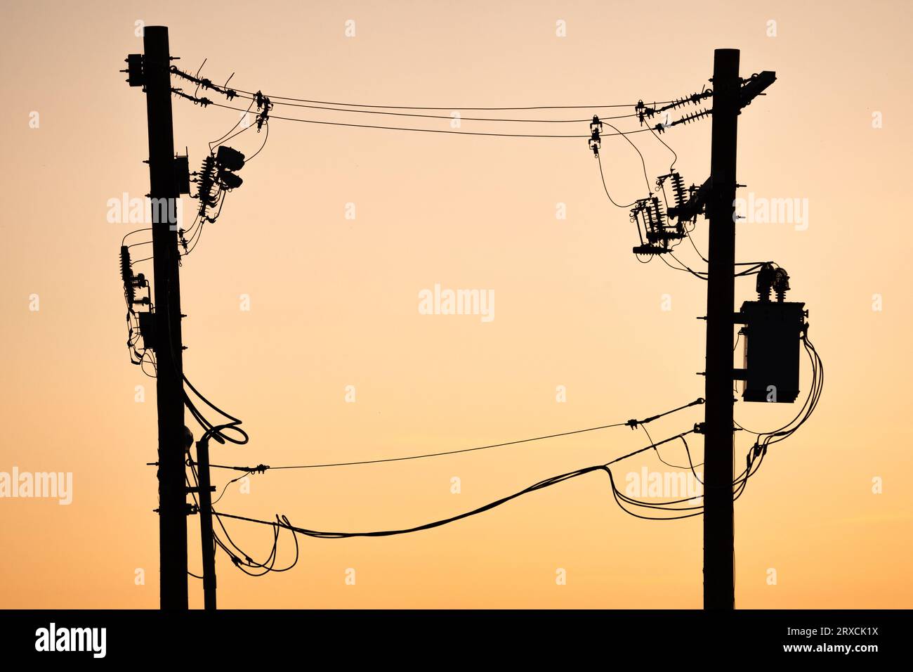 Telephone Poles And Wires Silhouette
