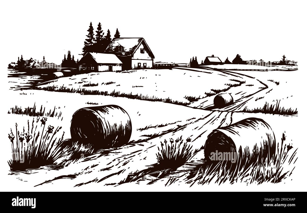Landscape of a farm on a field with haystacks sketch hand drawn Vector ...