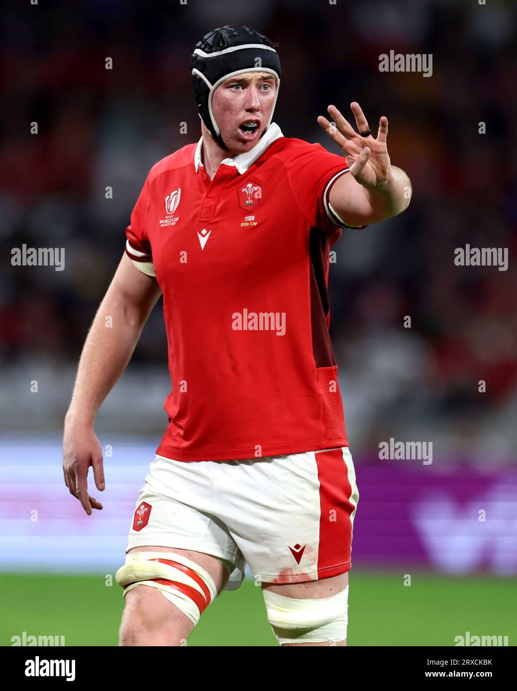 Adam beard wales 2023 world hi-res stock photography and images - Alamy