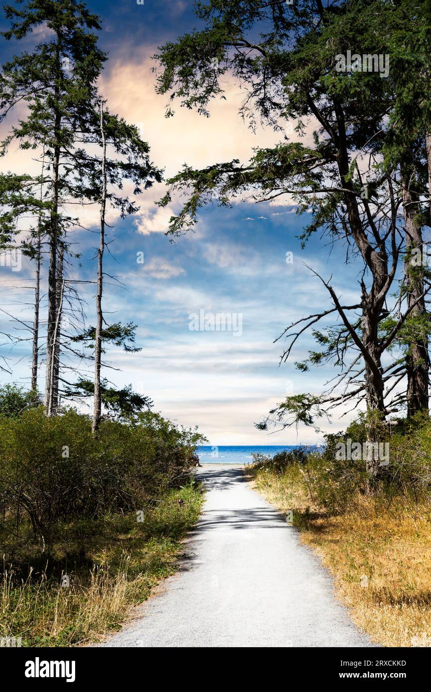 Rathtrevor beach campground hi-res stock photography and images - Alamy