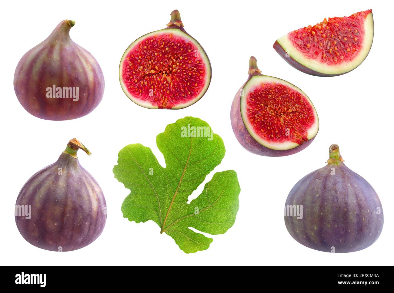 Collection of whole and cut figs isolated on white background Stock ...
