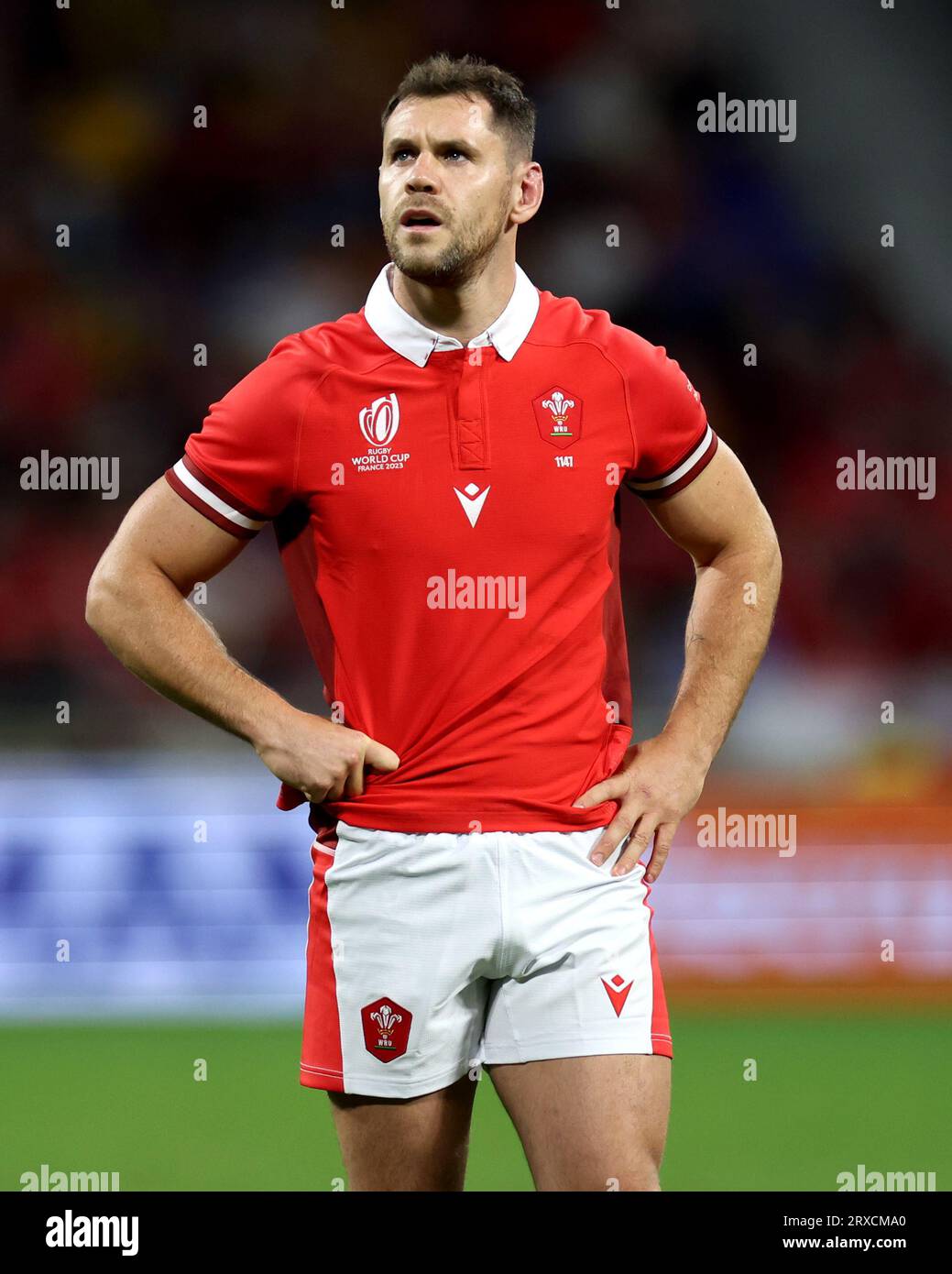 Wales' Tomos Williams looks on during the Rugby World Cup 2023, Pool C ...