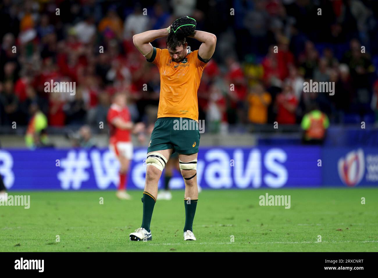 Australia's Nick Frost looks dejected following the Rugby World Cup ...