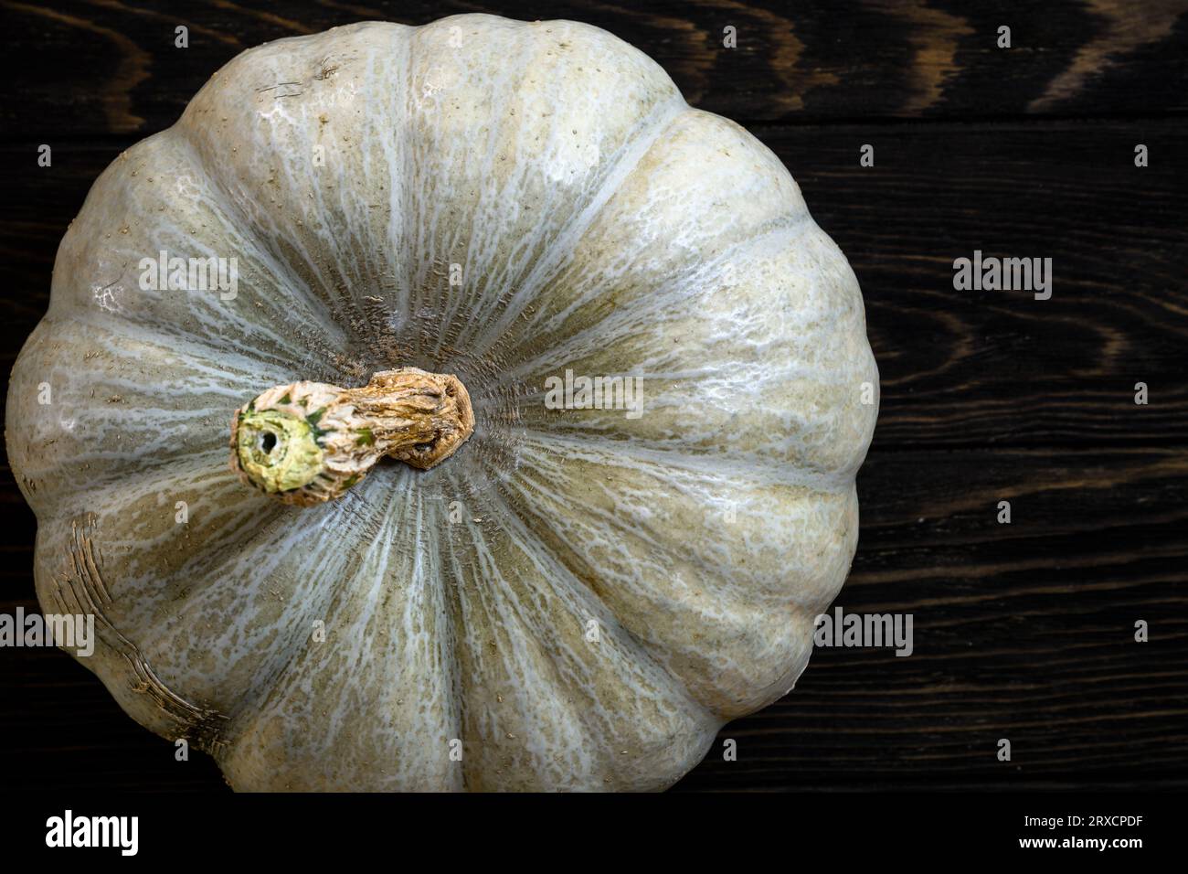 Pumpkin on dark wood background for Halloween theme, top view. Texture ...