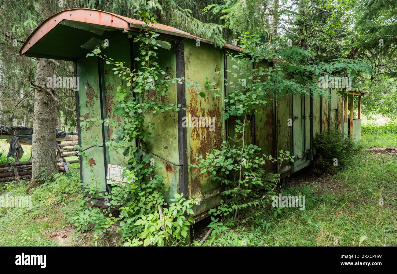 Abandoned rusty wooden train in the forest Stock Photo - Alamy