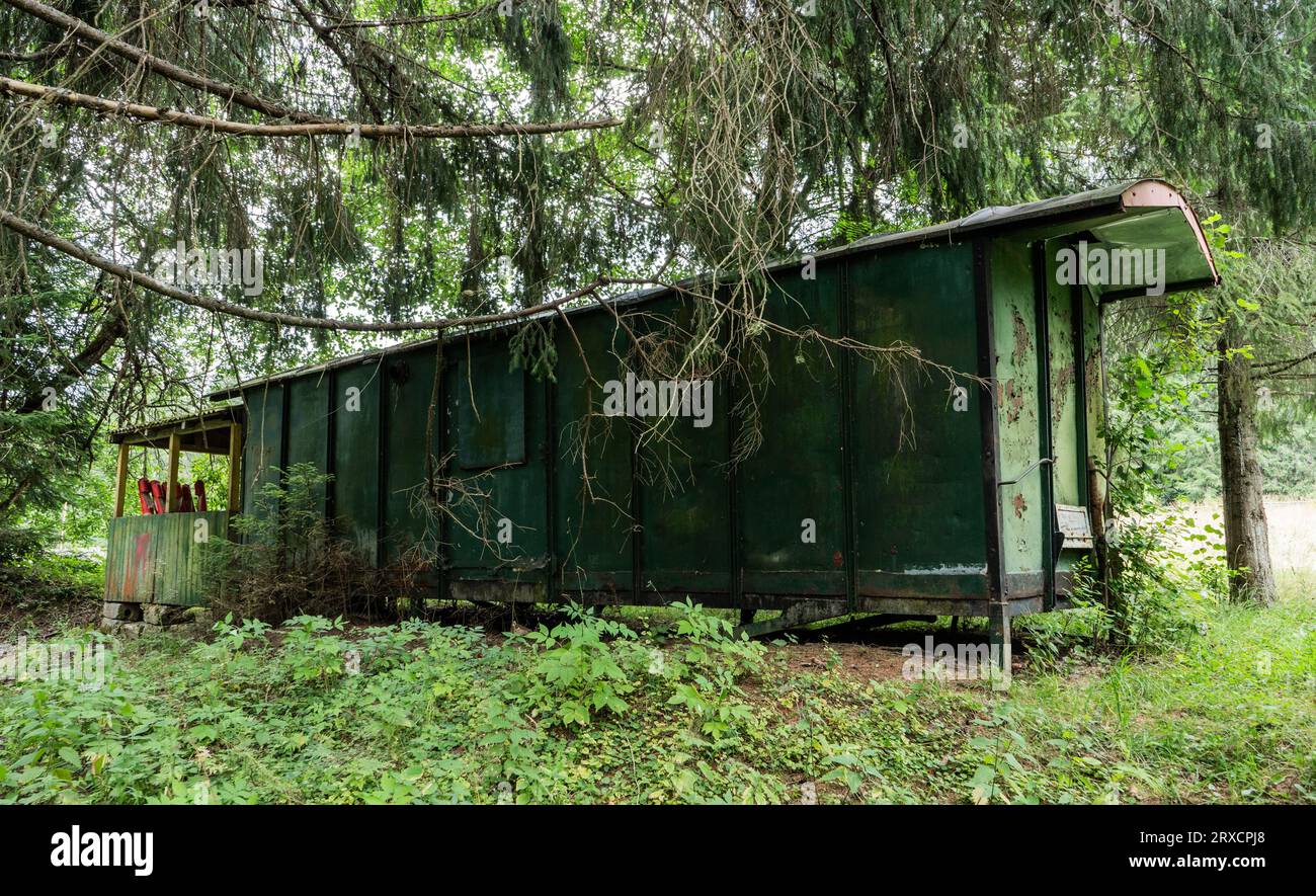 Abandoned rusty wooden train in the forest Stock Photo - Alamy