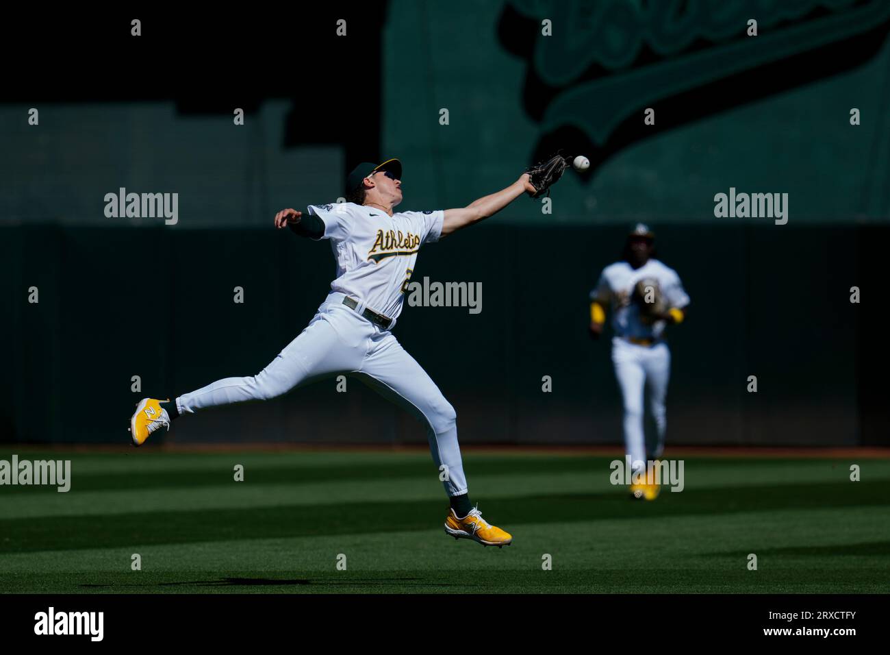 Oakland Athletics second baseman Zack Gelof is unable to catch a single ...