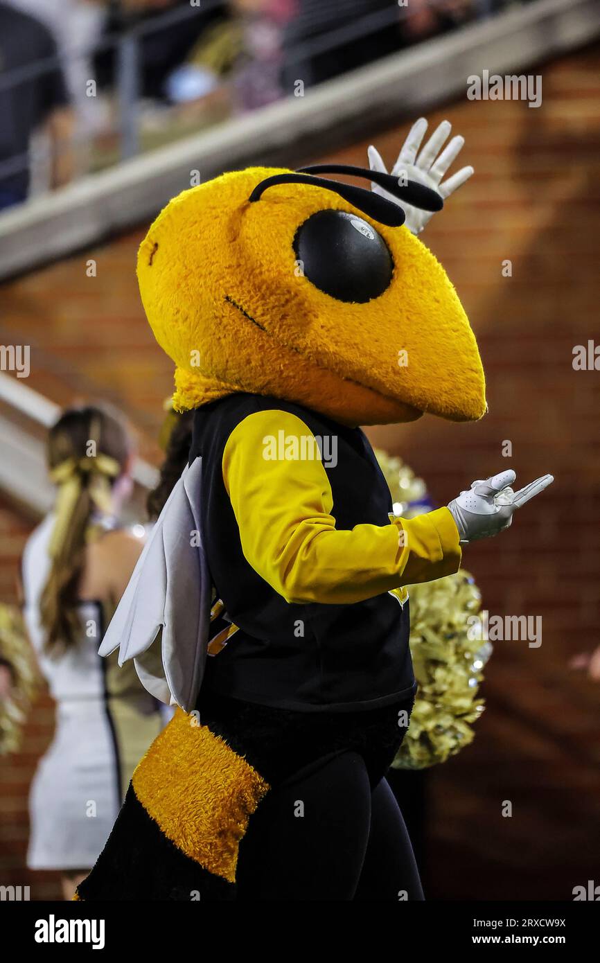 University of georgia mascot hi-res stock photography and images - Alamy