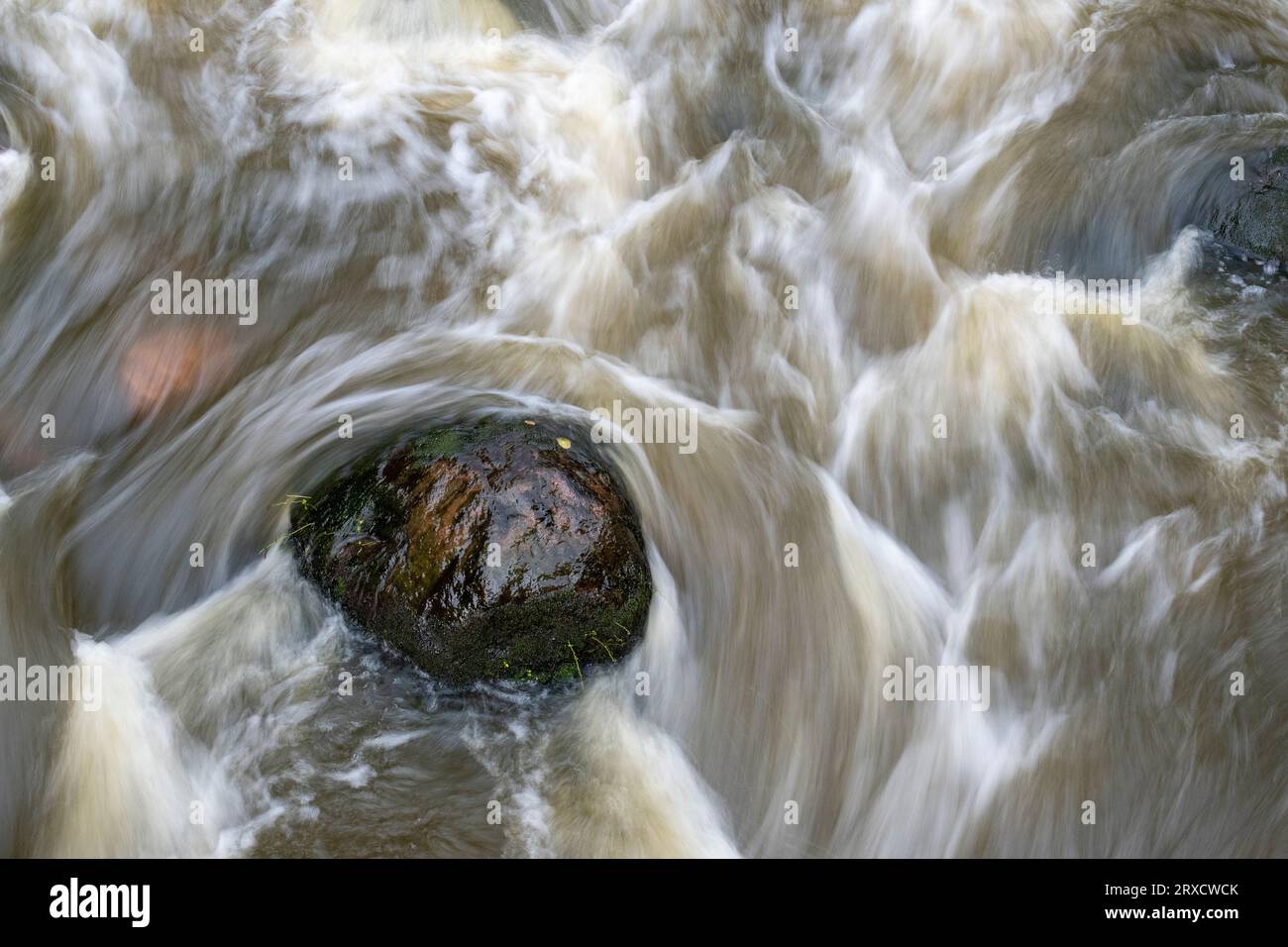 Rapid white hi-res stock photography and images - Alamy