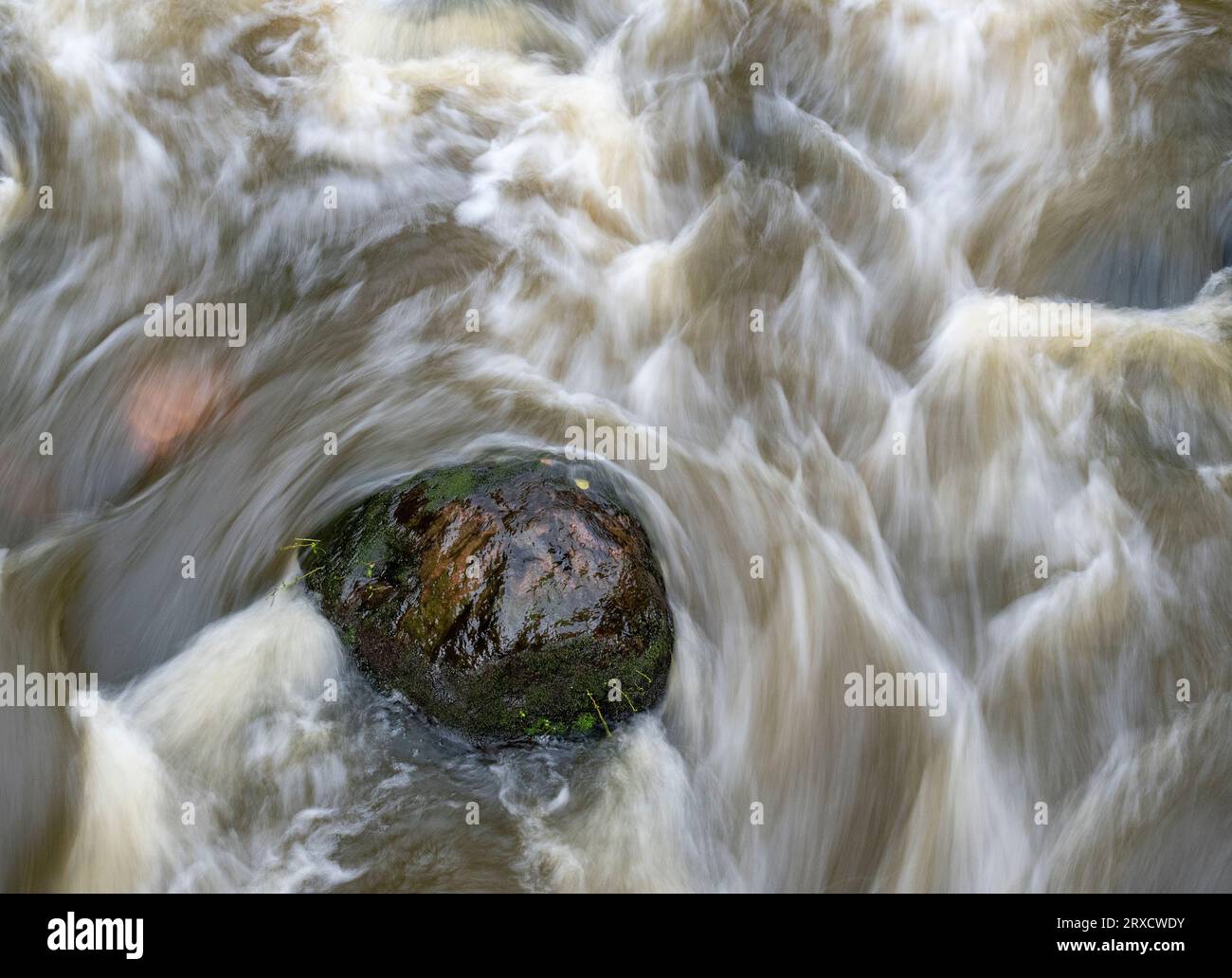 Rapid white hi-res stock photography and images - Alamy