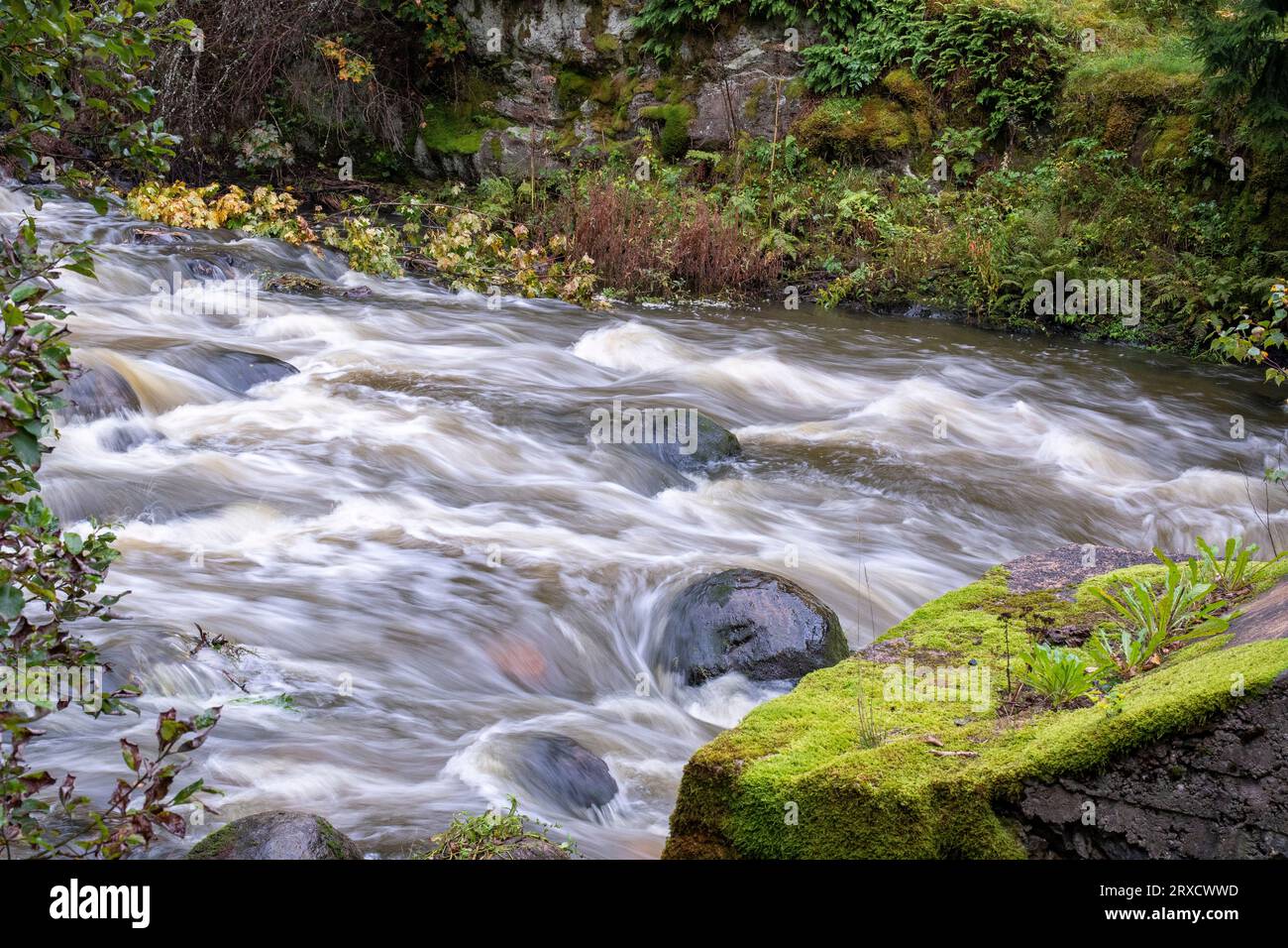 Freshwater natural hi-res stock photography and images - Alamy
