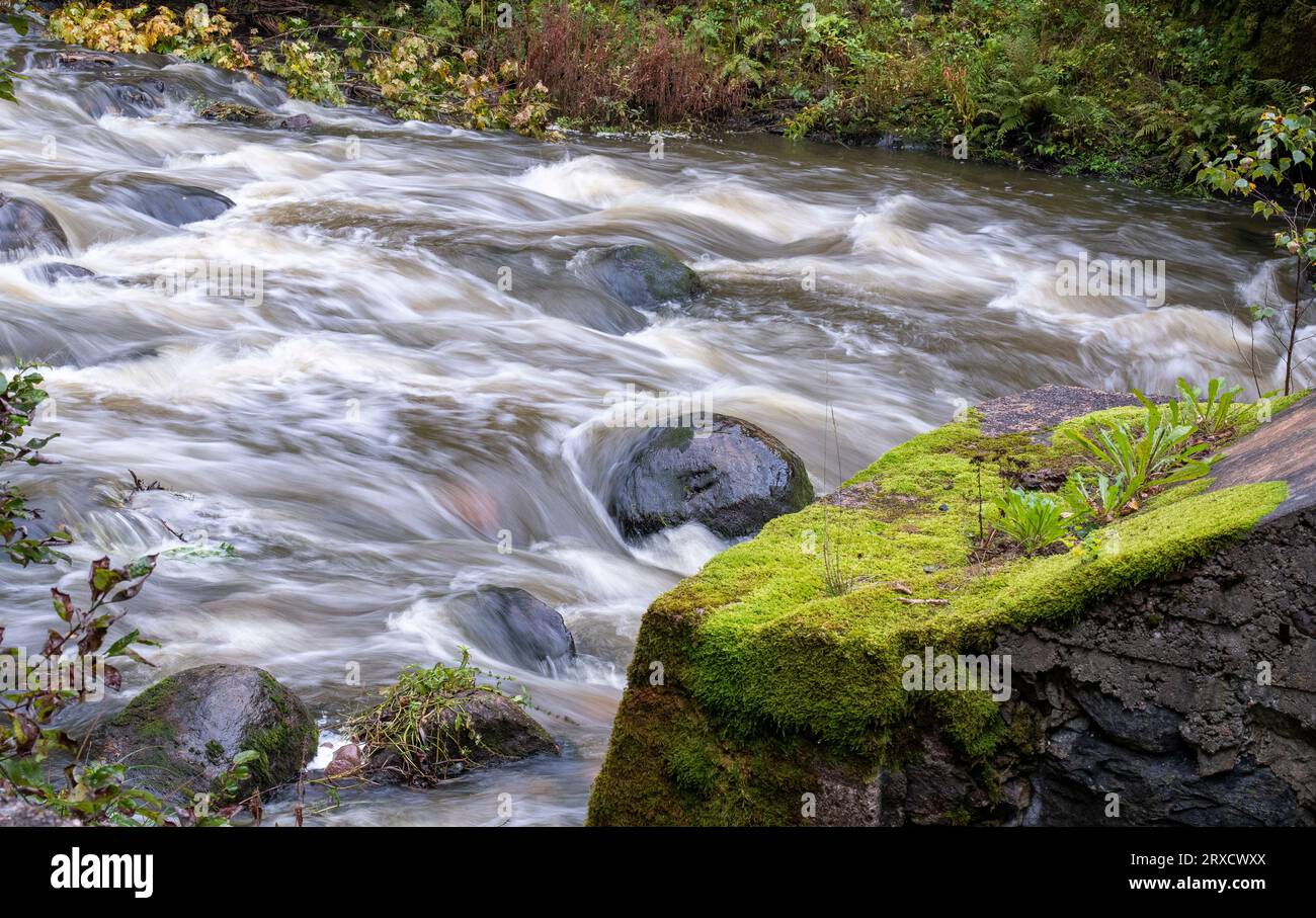 Freshwater natural hi-res stock photography and images - Alamy