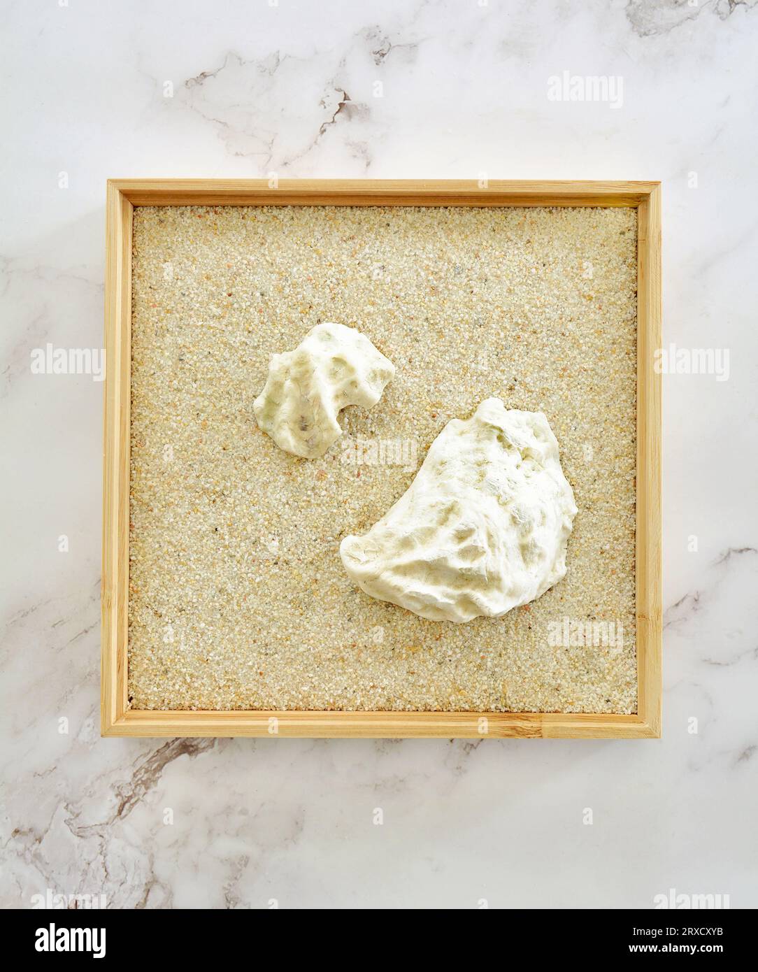 White shells in square sand filled bamboo box on marble background in ...