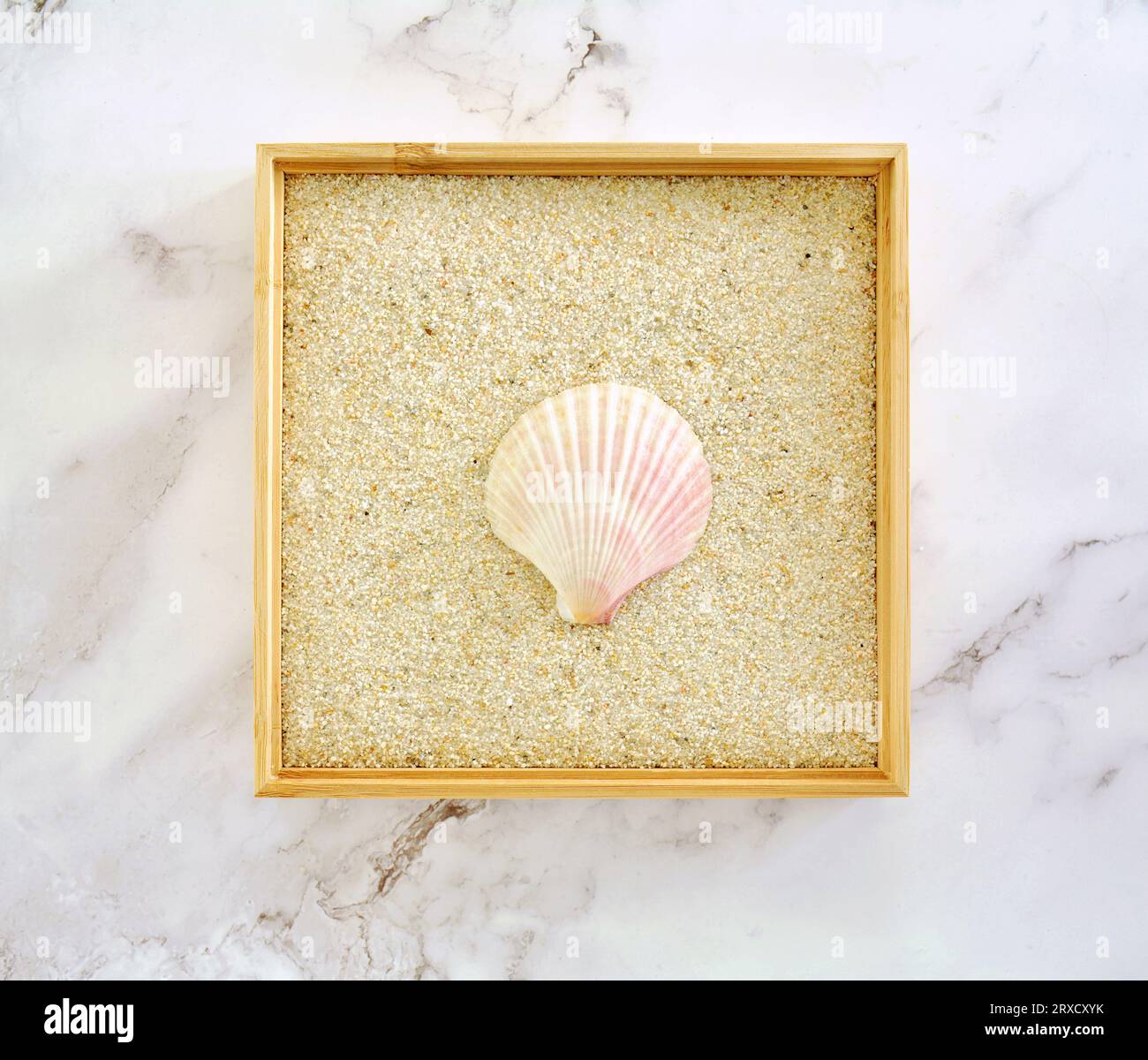 Pink scallop shell in square sand filled bamboo box on marble ...