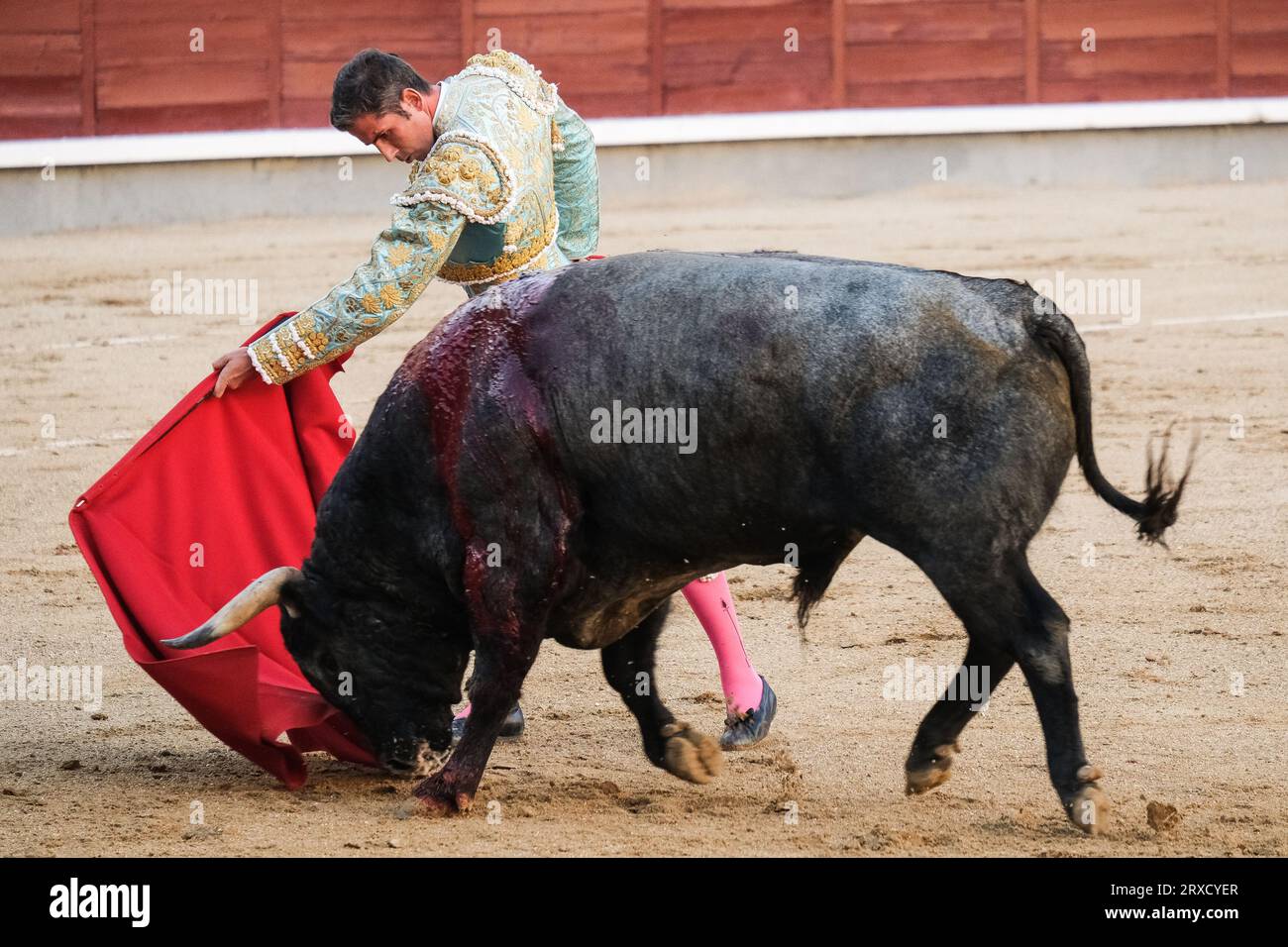 The bullfighter Serafín Marín during the bullfight of Corrida de Toros ...