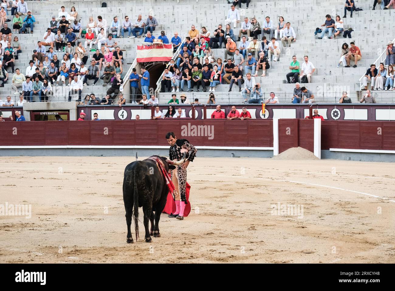 The bullfighter Gomez del Pilar during the bullfight of Corrida de ...