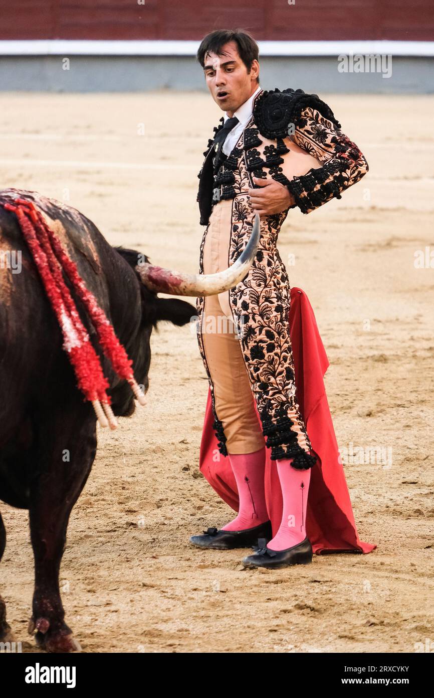 The bullfighter Gomez del Pilar during the bullfight of Corrida de ...