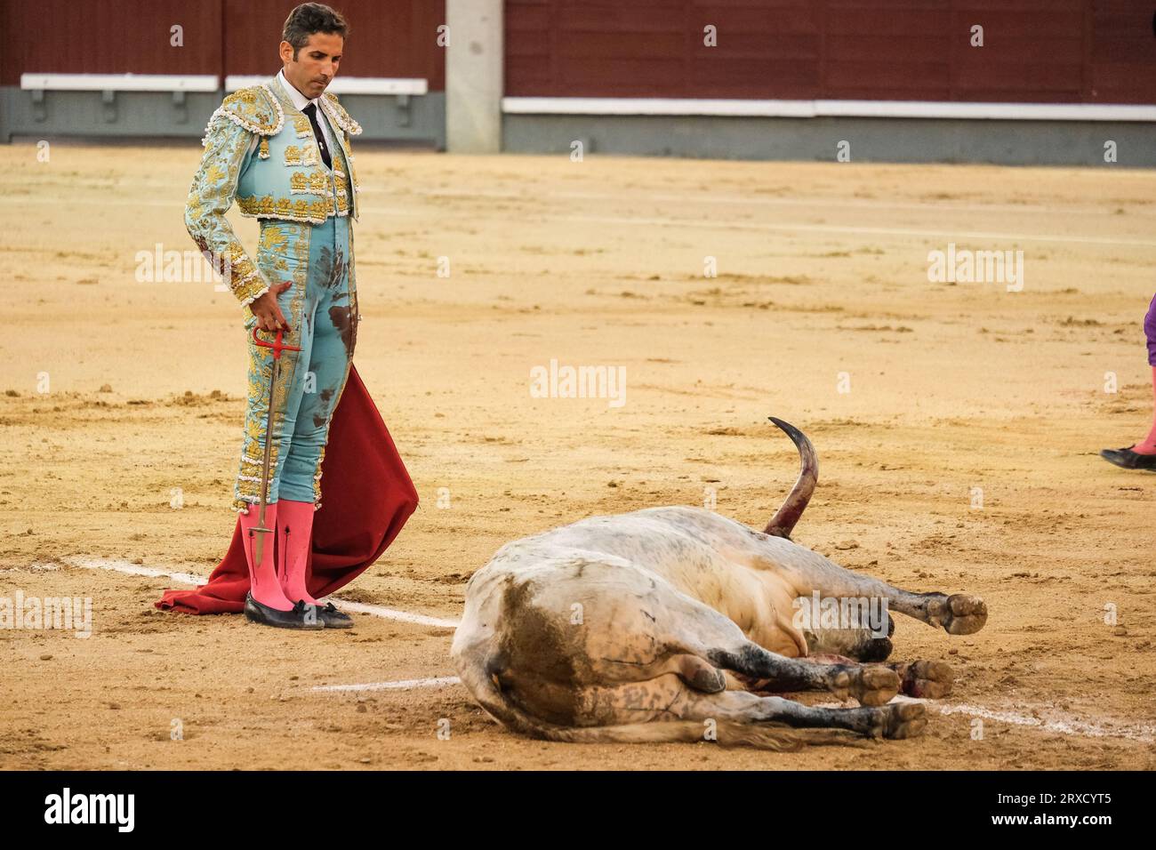 The bullfighter Serafín Marín during the bullfight of Corrida de Toros ...