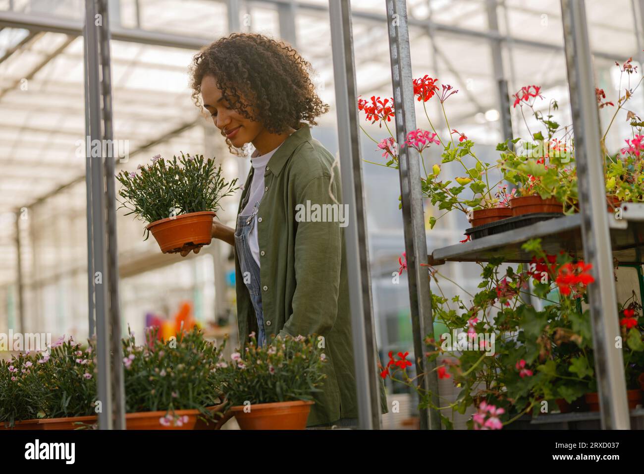 Female woman gardener working with plants on greenhouse background ...