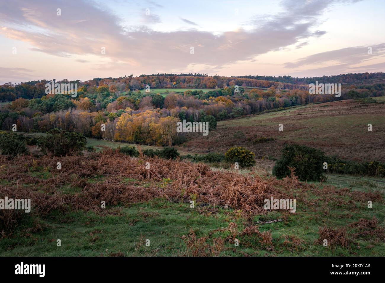 Ashdown forest view hi-res stock photography and images - Alamy