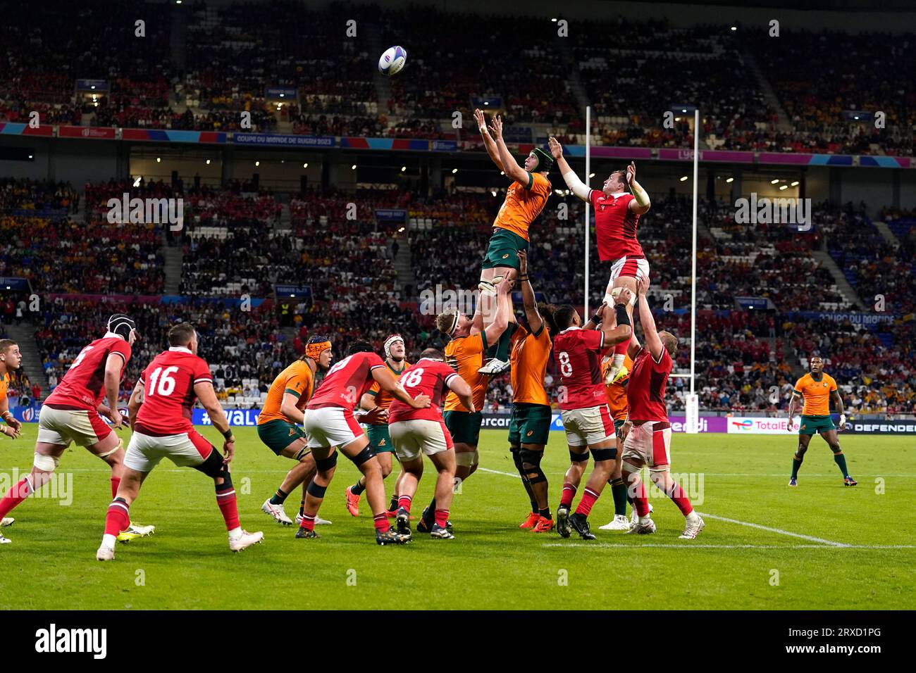 Australia and Wales contest a line out during the Rugby World Cup 2023 ...