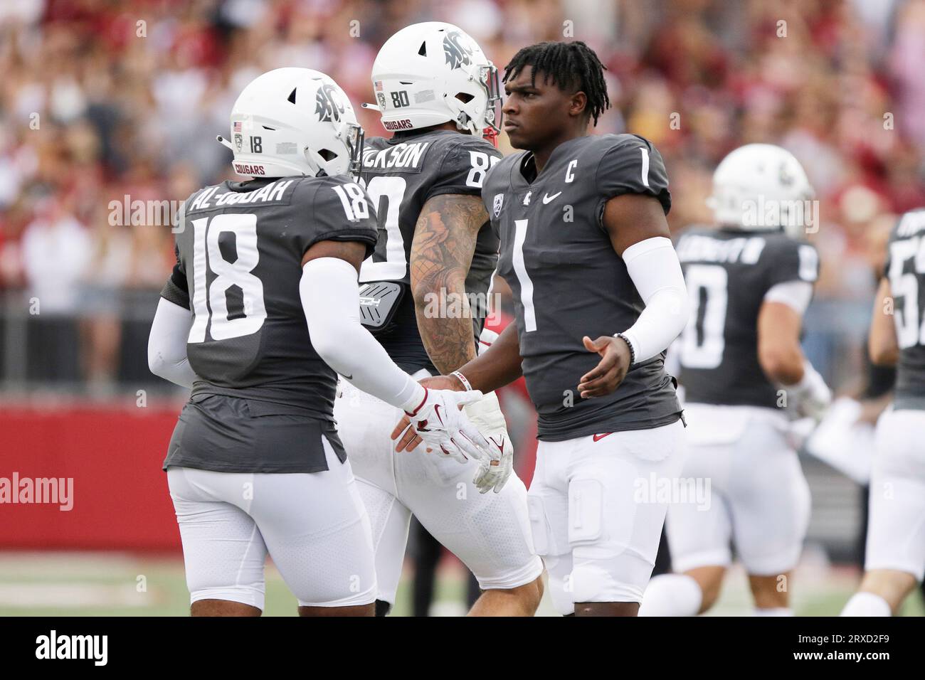 Washington State quarterback Cameron Ward (1) greets linebacker Taariq ...