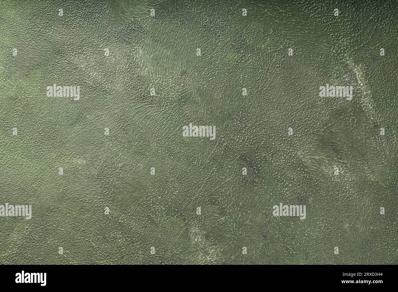 Green painted wall texture. Empty and clean green concrete wall Stock ...