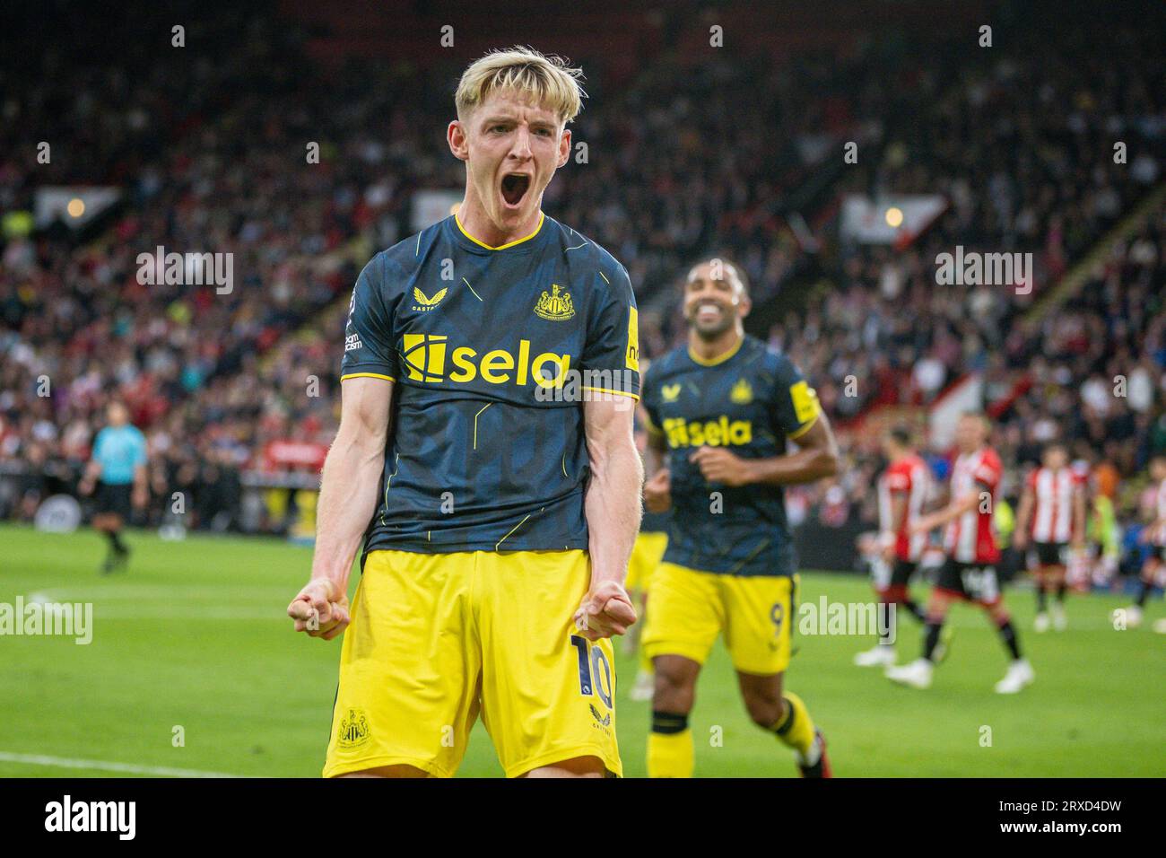 Anthony bramall hi-res stock photography and images - Alamy