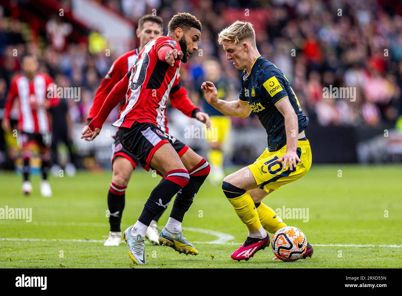 Jayden bogle england hi-res stock photography and images - Alamy