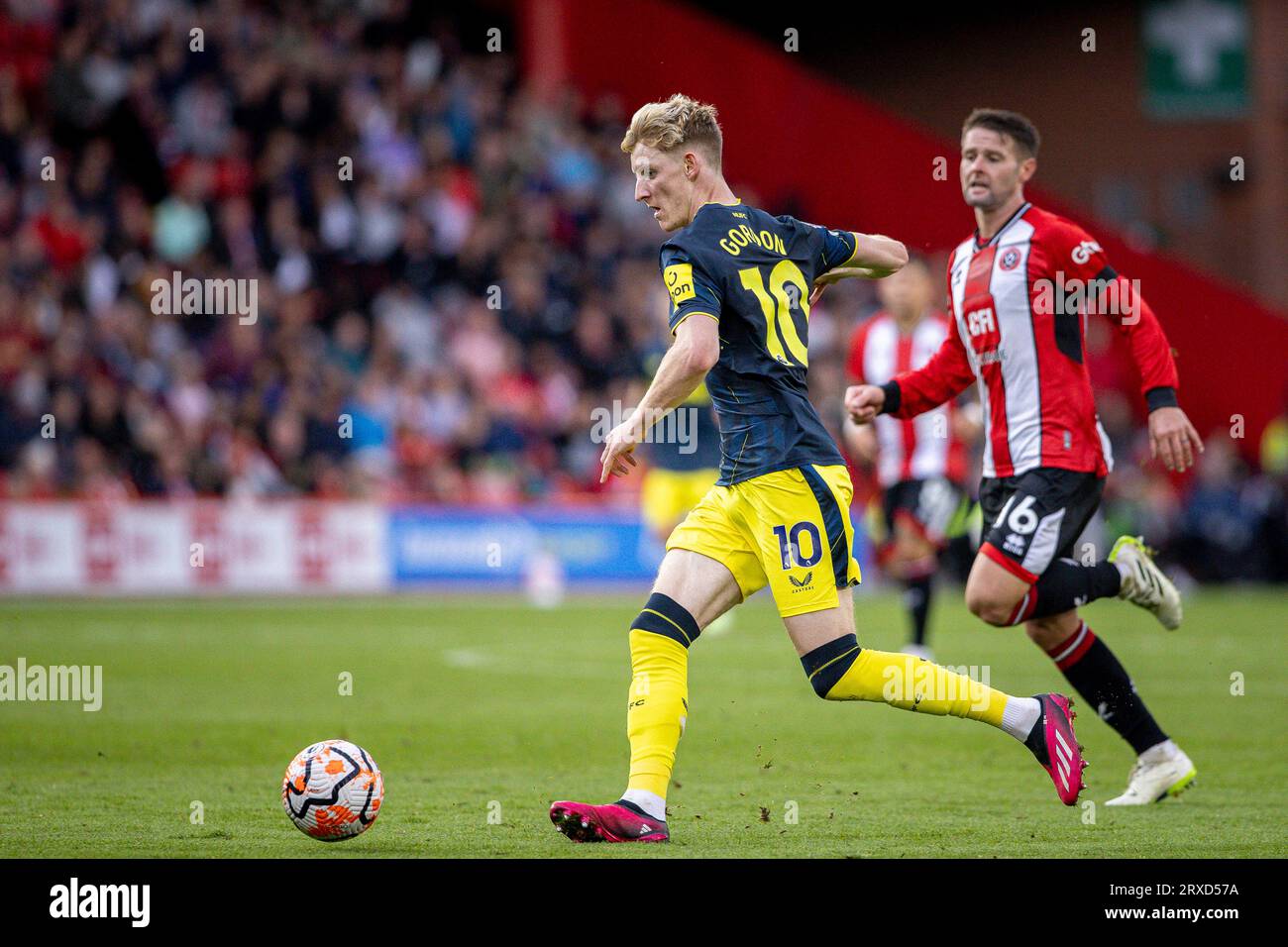 Anthony bramall hi-res stock photography and images - Alamy