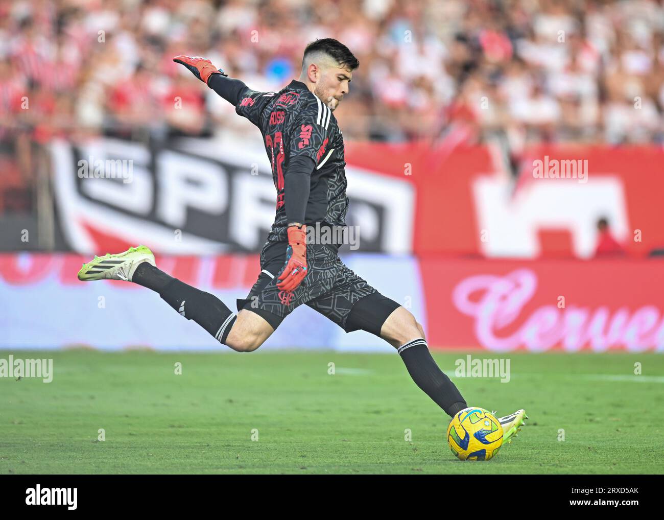 Sao Paulo, Brazil. 24th Sep, 2023. Morumbi Stadium Agustin Rossi of ...